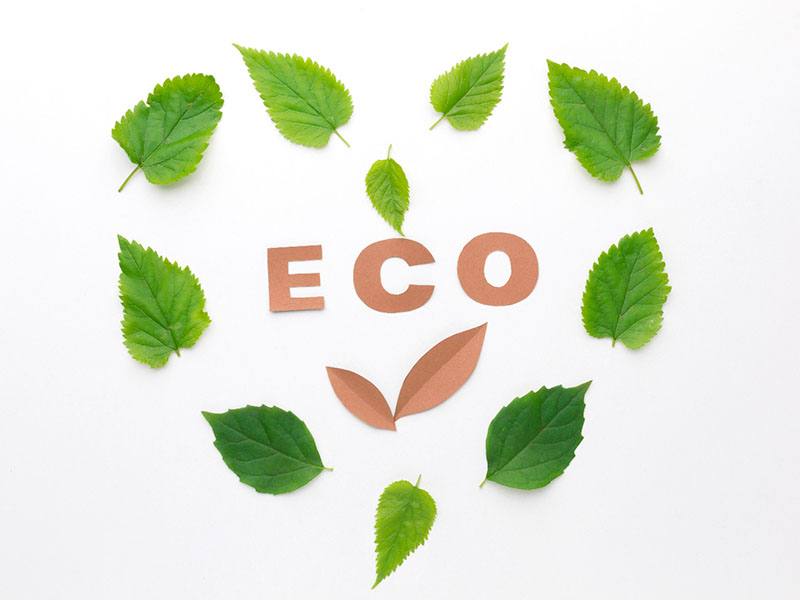 Sustainable Eco Friendly Practices For Digital Content Creators